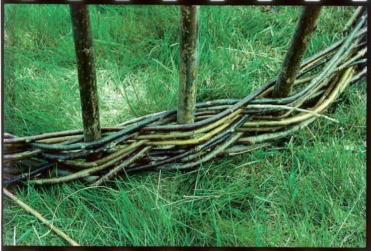 How to Build a Coracle Boat – Mother Earth News